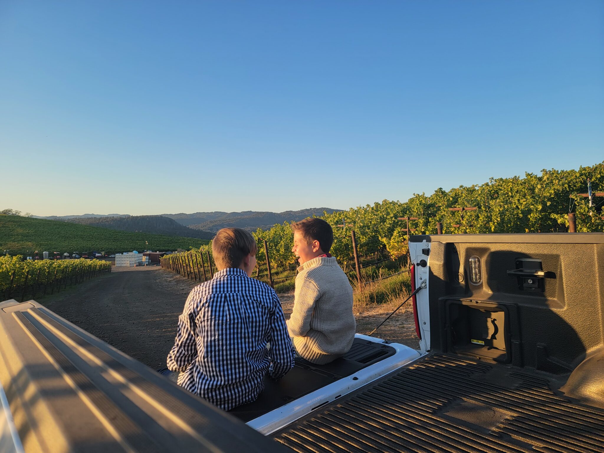 Knot Society - Angelo Owens Wines Knot Society - Angelo Owens Wines